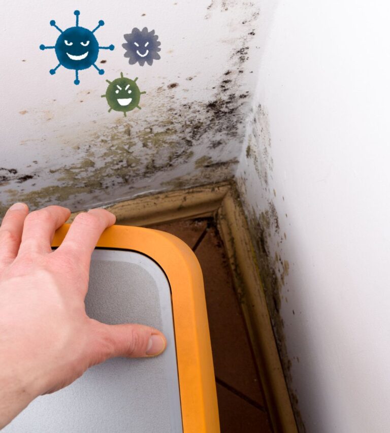 Cele două ingrediente de succes folosite pentru a curăța petele de ...