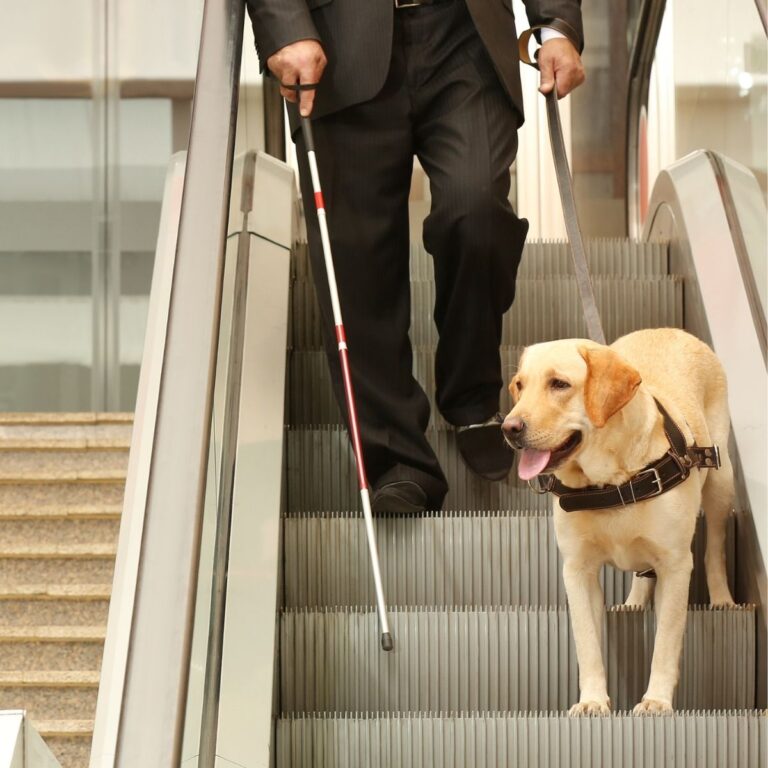 De aceea treptele scării rulante au caneluri