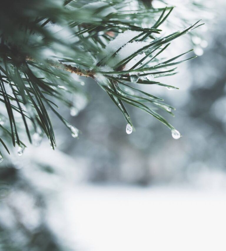 Val de frig peste Austria: temperaturi de până la –7 grade și ninsori ...